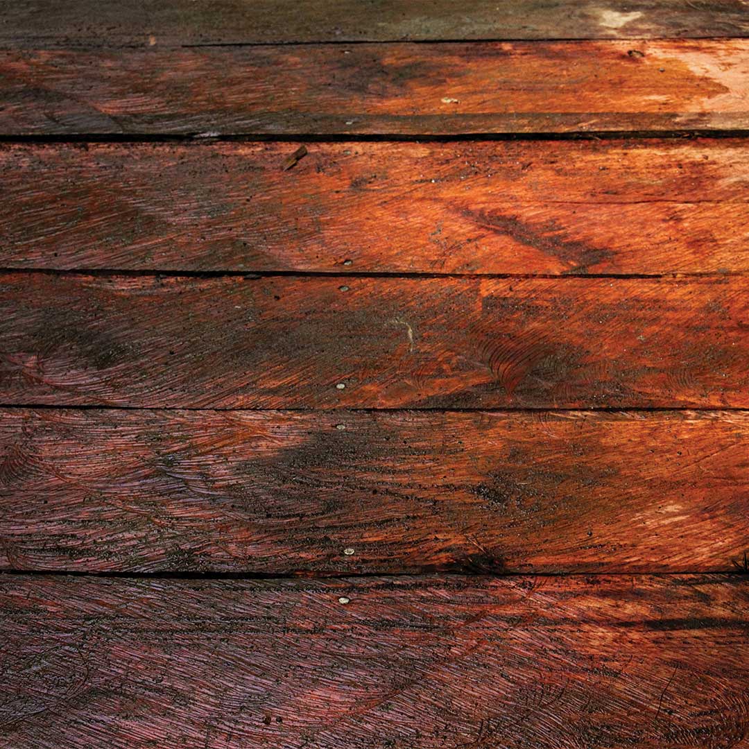 BLOOD LORE | TGW Studio