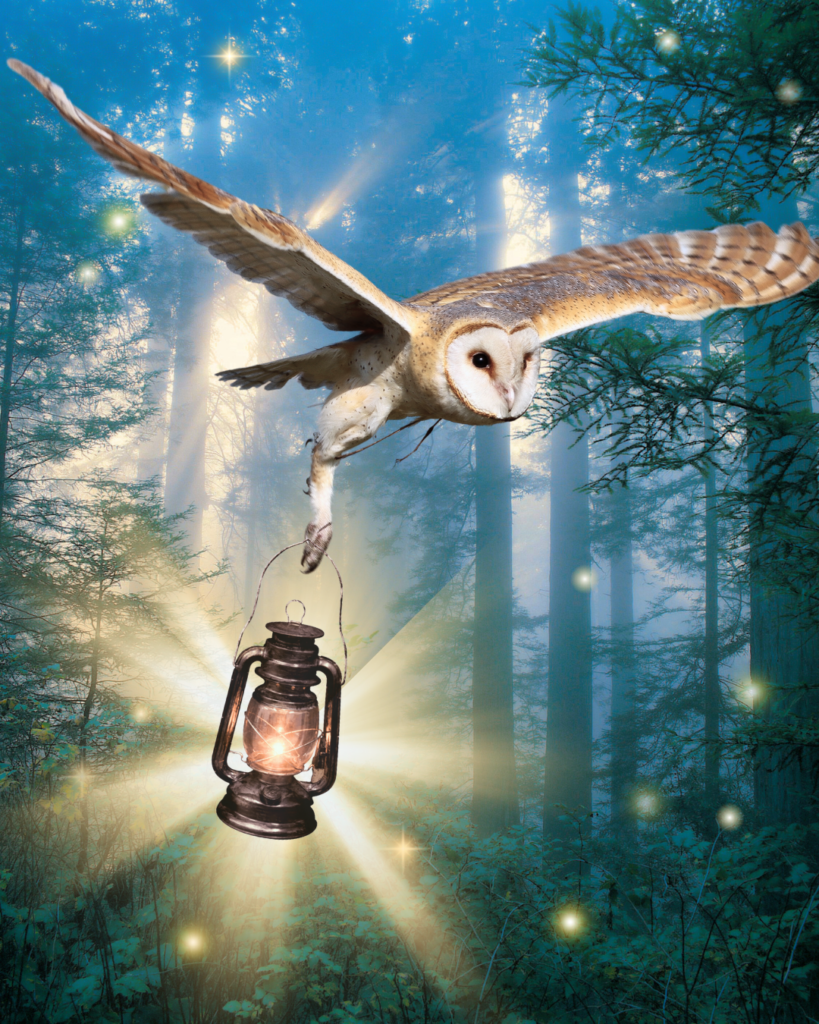 Lore - A Digital Zine